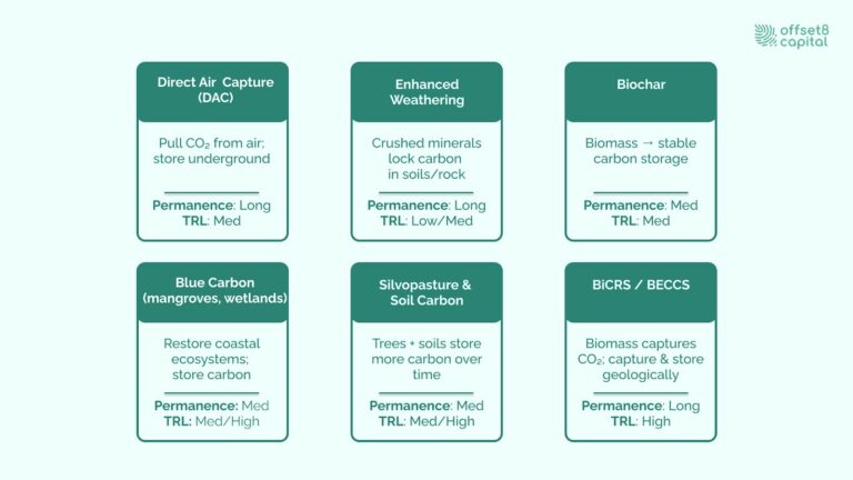 Carbon Dioxide Removal Methods: 2025 Technology Guide