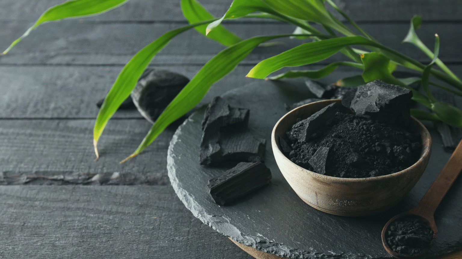 What is Biochar? Complete Guide + Biochar Carbon Credits 2025
