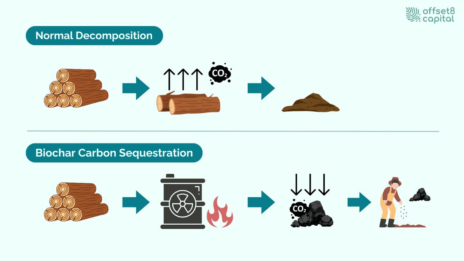What is Biochar? Complete Guide + Biochar Carbon Credits 2025