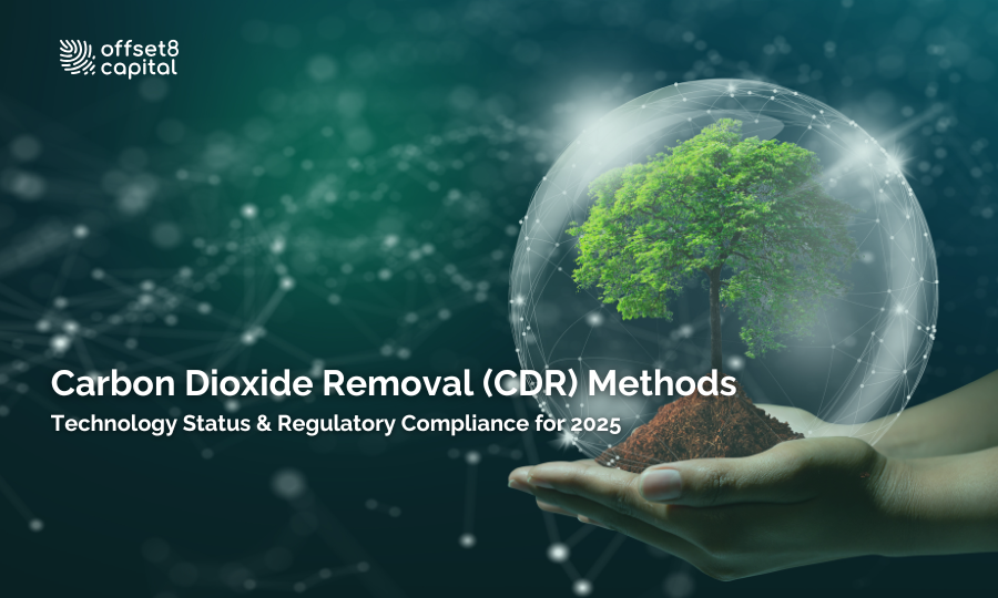Carbon Dioxide Removal Methods: 2025 Technology Guide