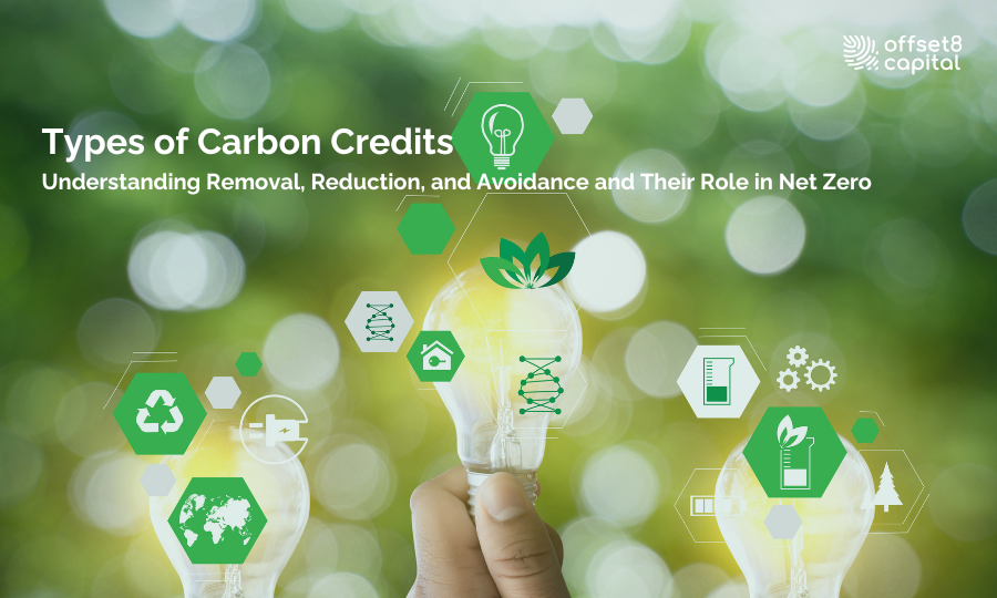 Types of Carbon Credits: Removal, Avoidance, and Reduction Explained
