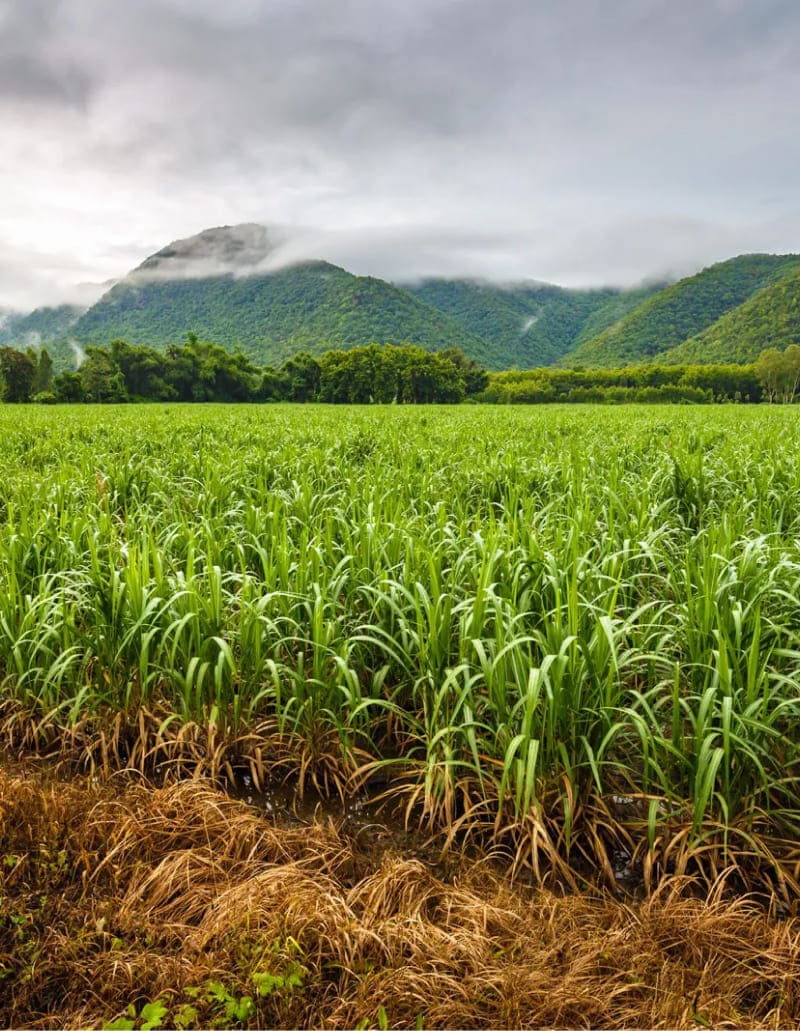 Sawa - Offset8 Capital