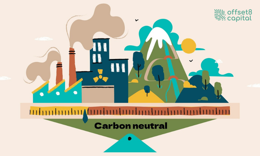 What is the Voluntary Carbon Market: Everything You Need to Know ...